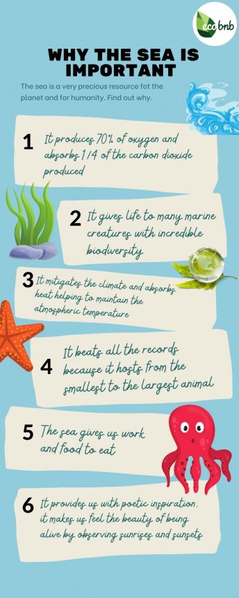 The Sea: Why It Is Important and How to Protect It - Ecobnb
