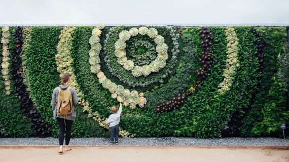 Living walls: a way to a greener urban landscape - Ecobnb