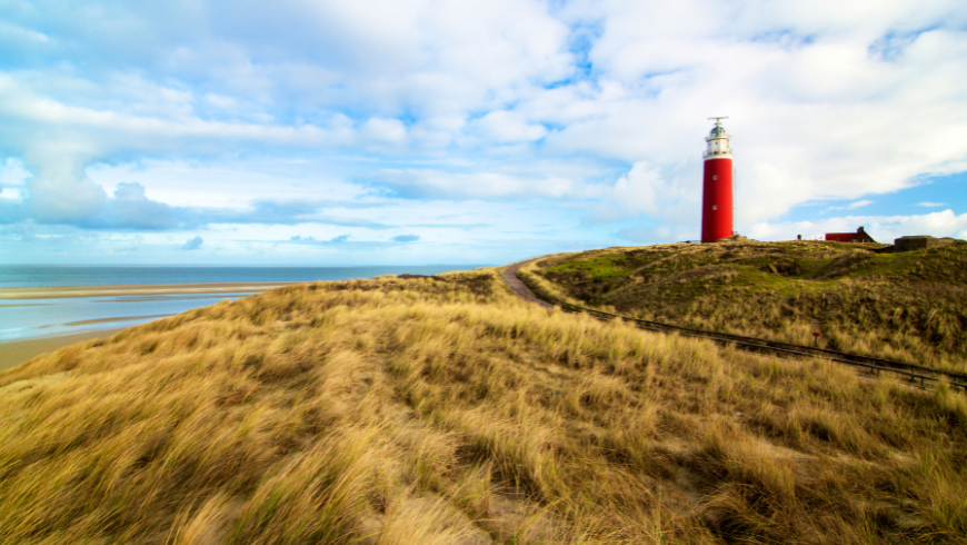 The Island of Texel, a Paradise for Birdwatching Lovers - Ecobnb