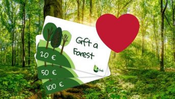 Give a Forest as a gift: the Gift Card to create centuries-old forests ...