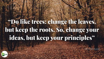 The Best Quotes on Trees and Forests - Ecobnb