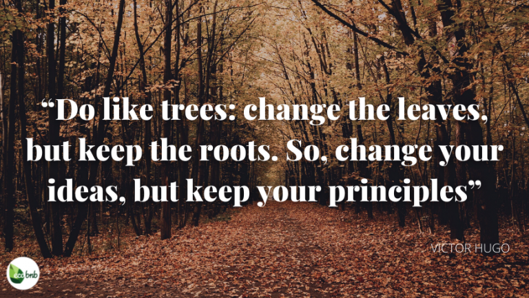 The Best Quotes on Trees and Forests - Ecobnb