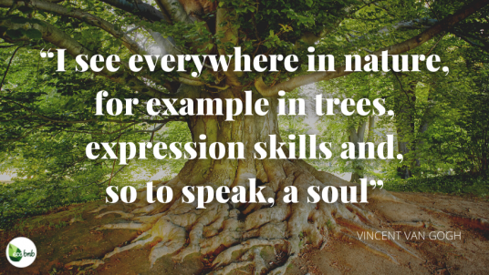The Best Quotes on Trees and Forests - Ecobnb