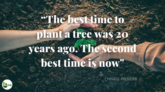 The Best Quotes on Trees and Forests - Ecobnb