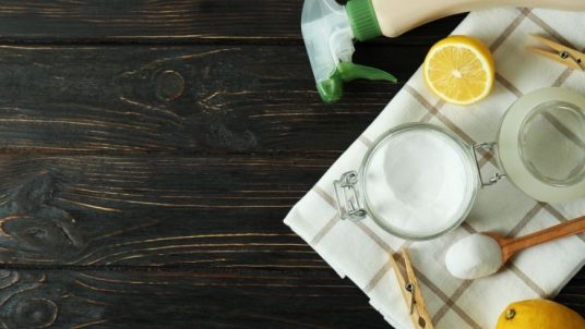 6 Ways to Make Your Vacation Rental Eco-Friendly and Sustainable - Ecobnb