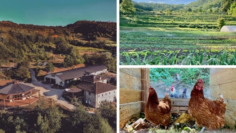 10 Eco-Holiday Ideas for a Sustainable Summer - Ecobnb