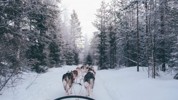 Lapland: ideal country for sustainable tourism Ecobnb