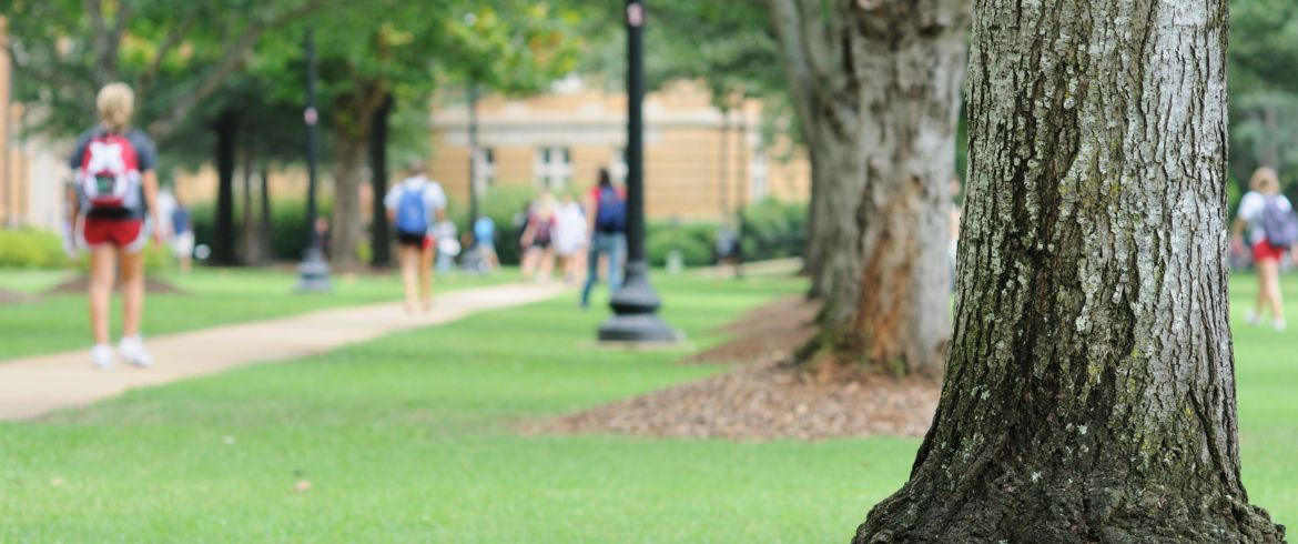 Students and Environment: 5 Hacks to Go Green on Campus - Ecobnb