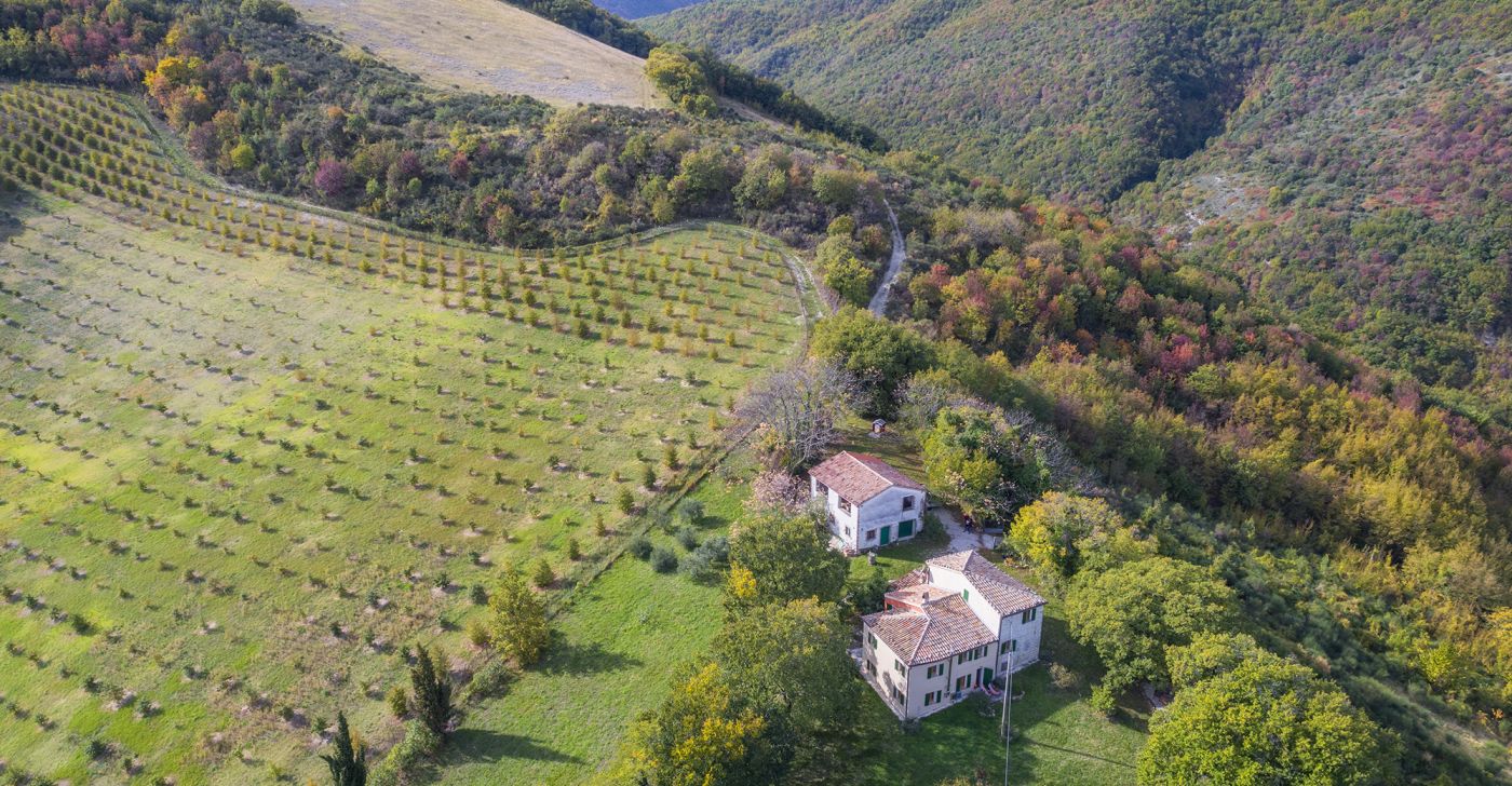 Arcevia: ancient castles in a natural park. Your slow holiday in Marche ...