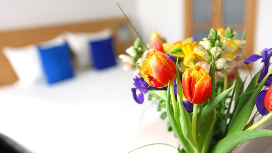 7 Small Ways to Make Hotel Guests Feel Special - Ecobnb
