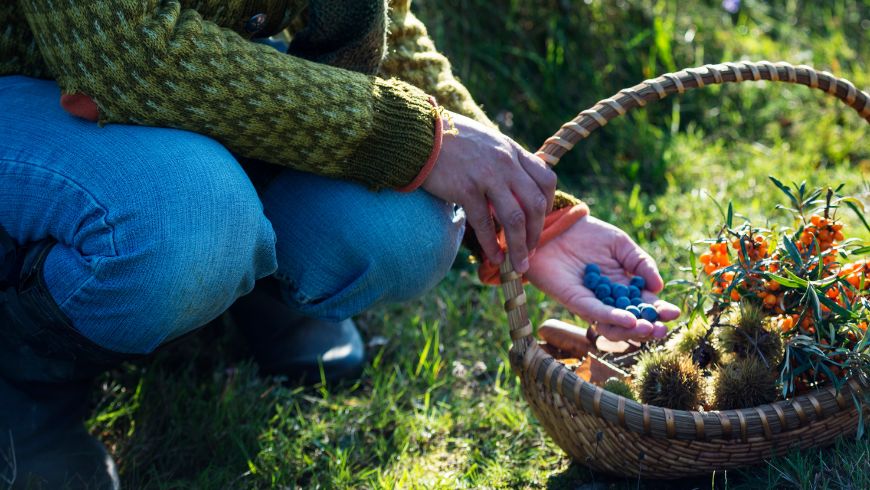 Foraging: a new eco-friendly practice - Ecobnb