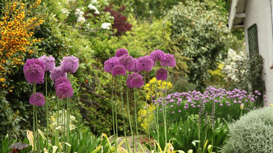 Upgrade Your Outdoor Living Space for This Spring - Ecobnb