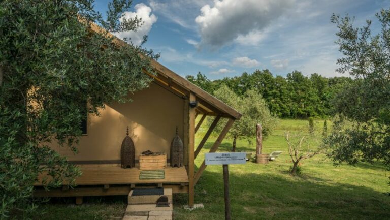 Green Hospitality: Sustainable Practices for Hotels - Ecobnb