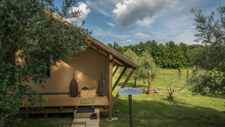 Green Hospitality: Sustainable Practices for Hotels - Ecobnb