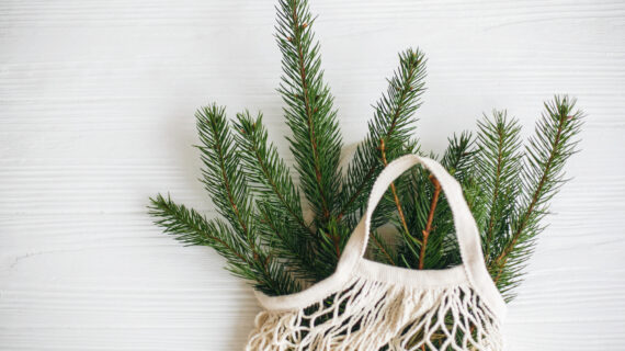 10 Tips For A More Sustainable Winter Holiday - Ecobnb