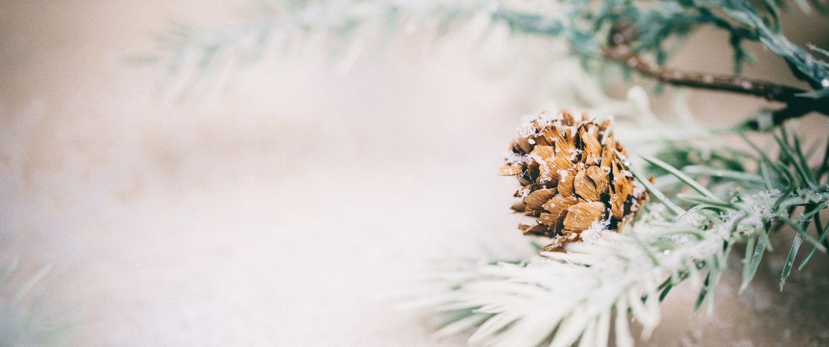 10 Tips For A More Sustainable Winter Holiday - Ecobnb