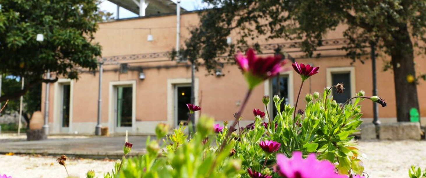 Salento Green: discovering the Piccapane Farmhouse - Ecobnb