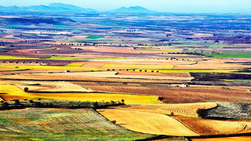 Exploring Castilla La Mancha and its Grapes Products - Ecobnb