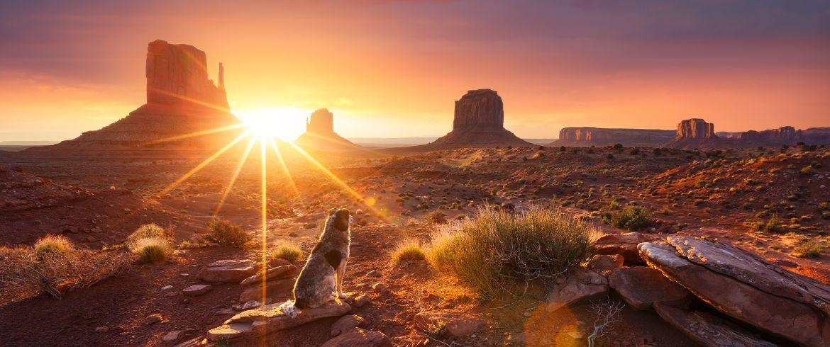 21 Fun Things To Do In Arizona For Couples: A Sustainable Travel