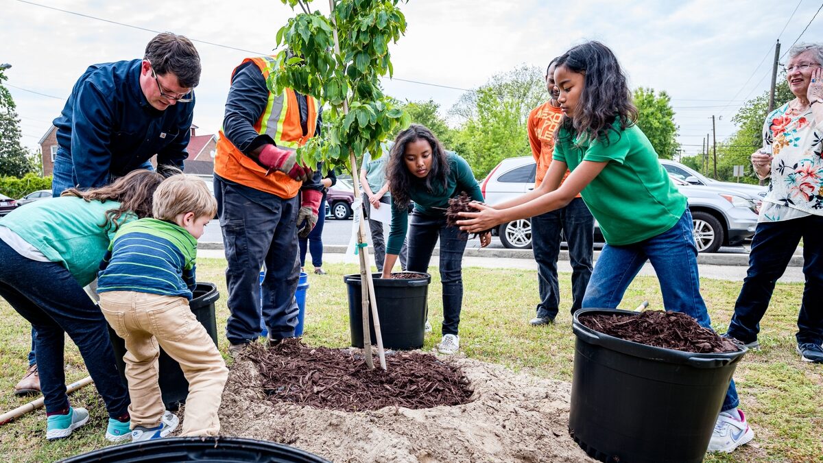 Green School Initiatives: Cultivating Eco-Consciousness - Ecobnb