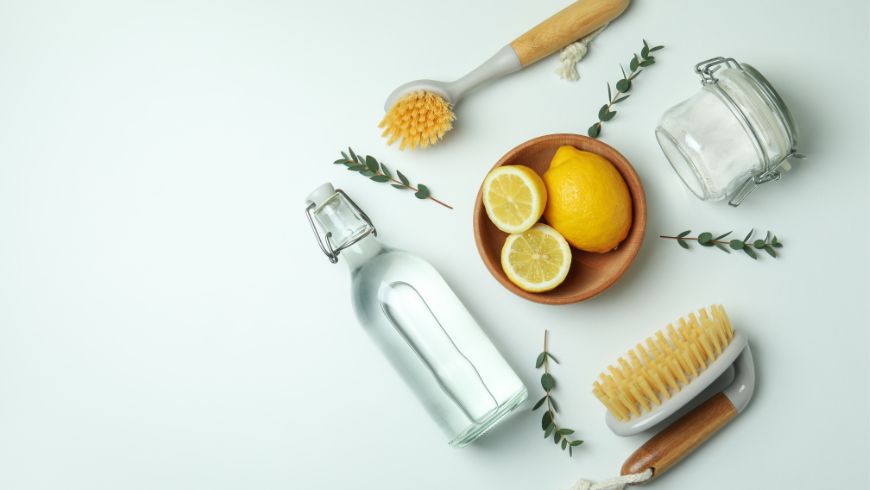 Smart Solutions for Sustainable Living in Rental Properties