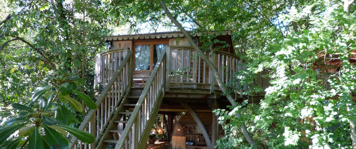 Orion Treehouses: Where Magic Meets the Nature of the French Riviera ...