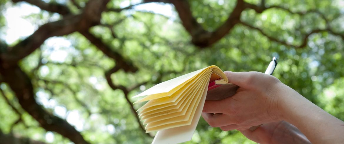 Inspiring Topic Ideas for Writing About the Environment - Ecobnb