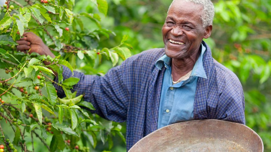 The Future of Sustainable Tourism - Ecobnb