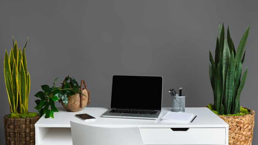 Living Green: Easy Steps to a Sustainable Lifestyle for Students