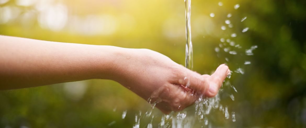 10 Green Plumbing Solutions for an Eco-Friendly Home