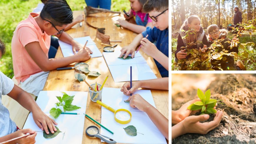 Is There Enough Environmental Education in Schools? - Ecobnb