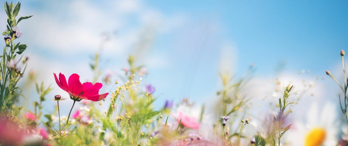 Italy in Spring: 5 Must-Try Getaways - Ecobnb