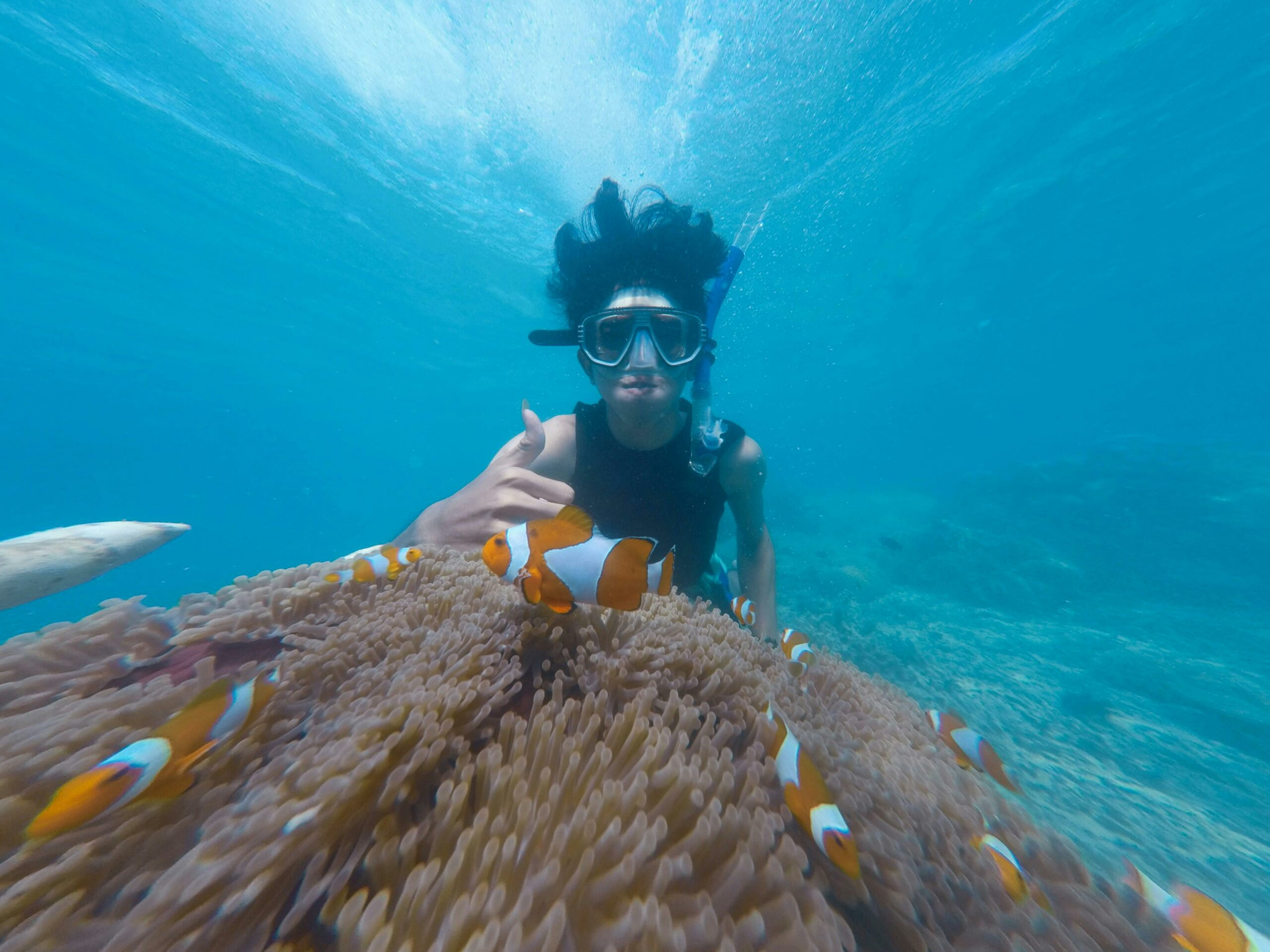 Sustainable Snorkeling: Ethical Practices for Protecting Marine Life