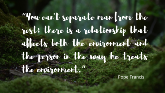 Pope Francis: The First Green Pope and His Fight for Our Planet