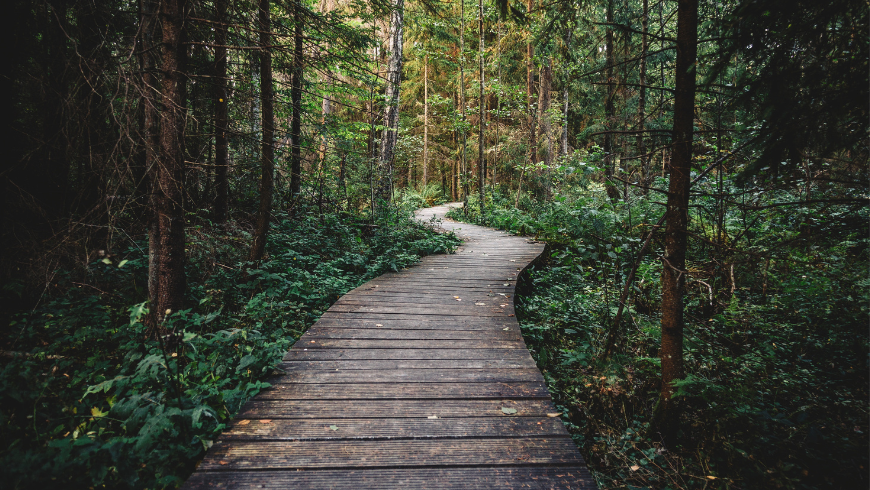 Slow Travel in Lombardy: Scenic Trails & Hidden Gems