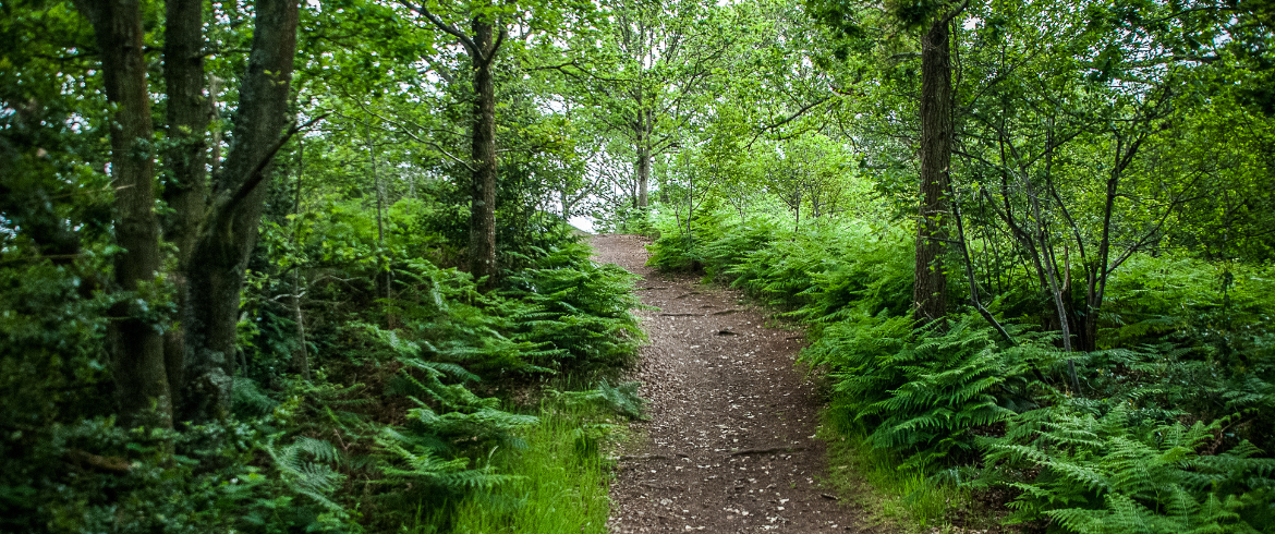 Natural Parks of Normandy: Water, Forests, Eco-Friendly Retreats
