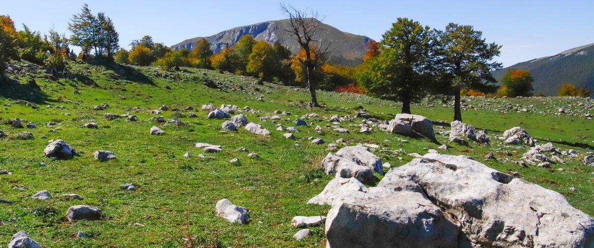 Una Inolvidable Excursión en el Parque Nacional del Pollino