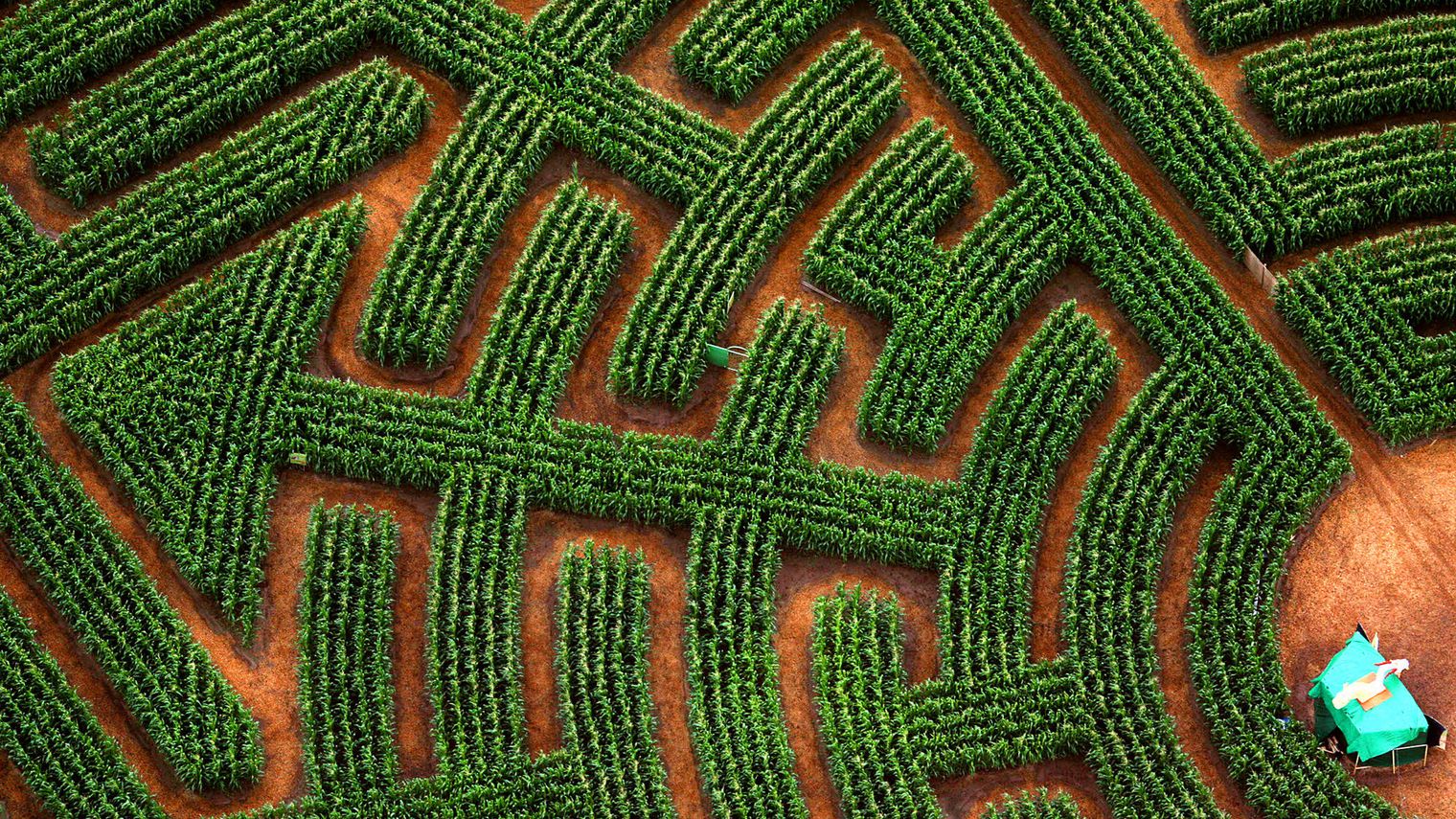 Labyrinthes en France: à la découverte des "énigmes naturels" - Ecobnb